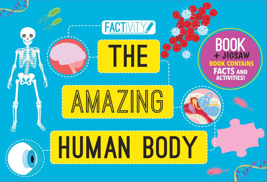 Factivity The Amazing Human Body Book and Jigsaw | Good Reading